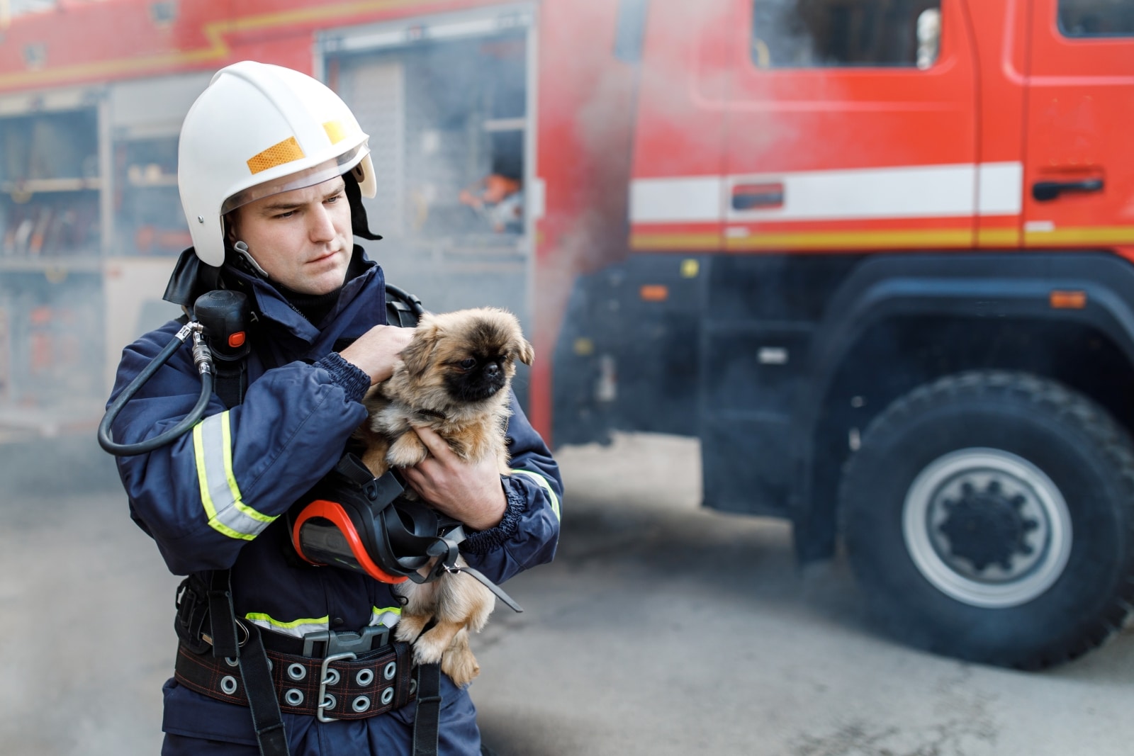 How to Become a Search and Rescue EMT | Unitek EMT